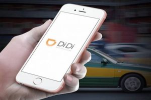 ¿De Dónde és DIDI y Cómo Comenzó su Historia? - Mira Cómo Se Hace
