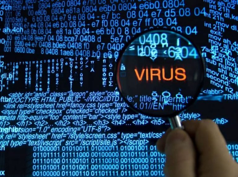 ¿Qué es y qué Tipos de Gusanos Informáticos Existen y Cómo Evitarlos ...