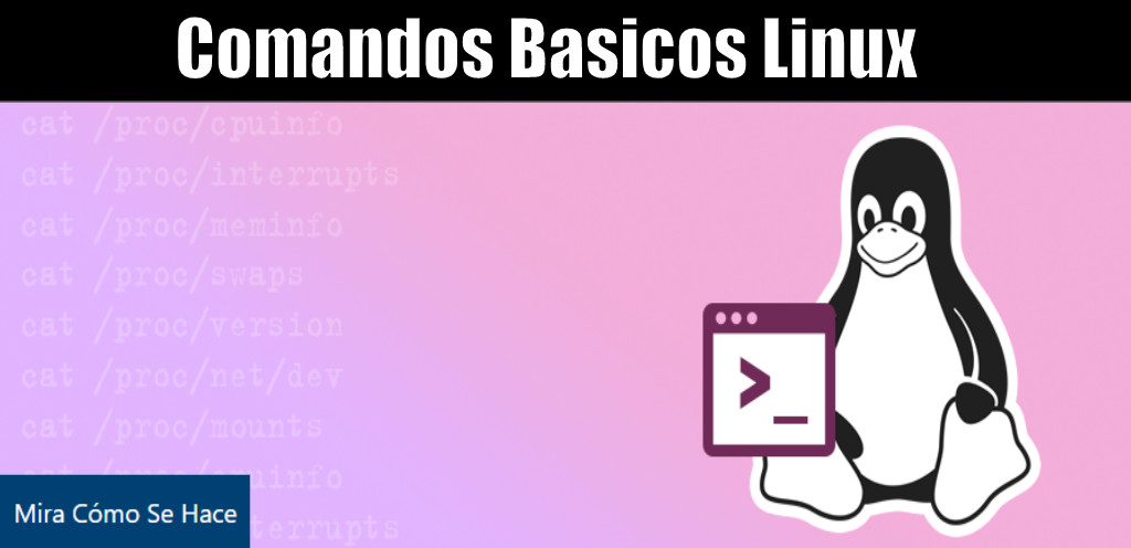 ¿Para qué Sirven los Comando de Linux y Cuáles son los Básicos más ...